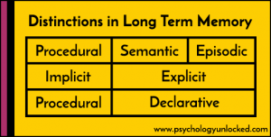 Long Term Memory – Psychology Unlocked