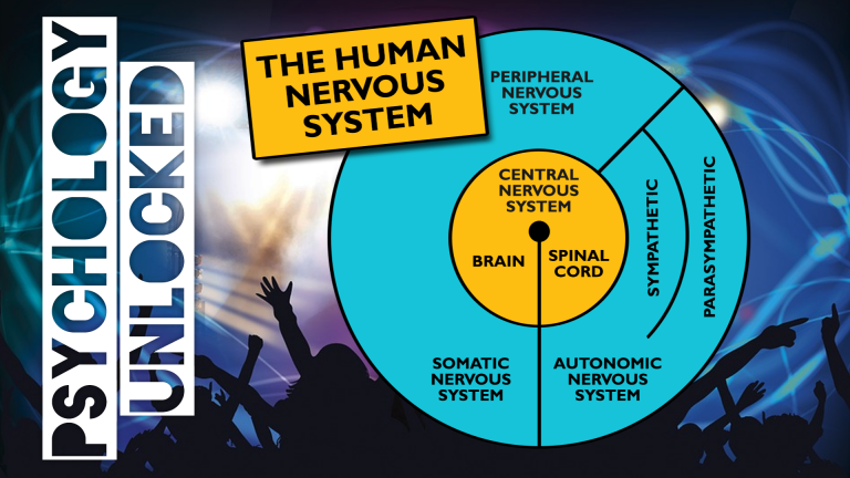 Biological Psychology – Psychology Unlocked